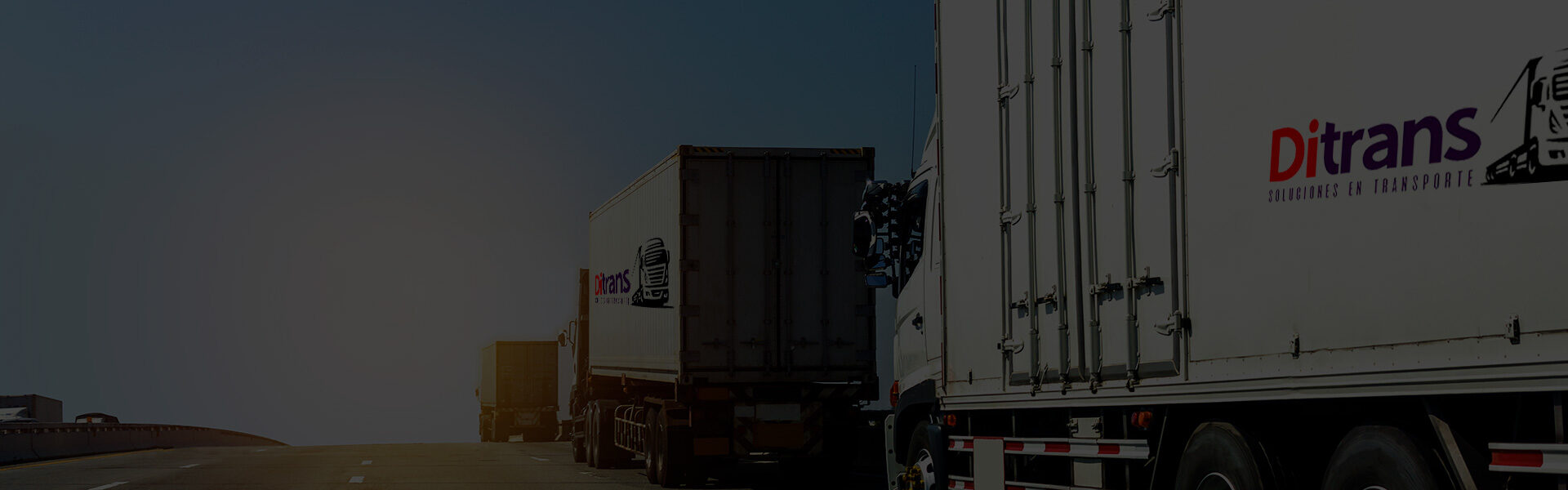 DITRANS – Soluciones Logísticas